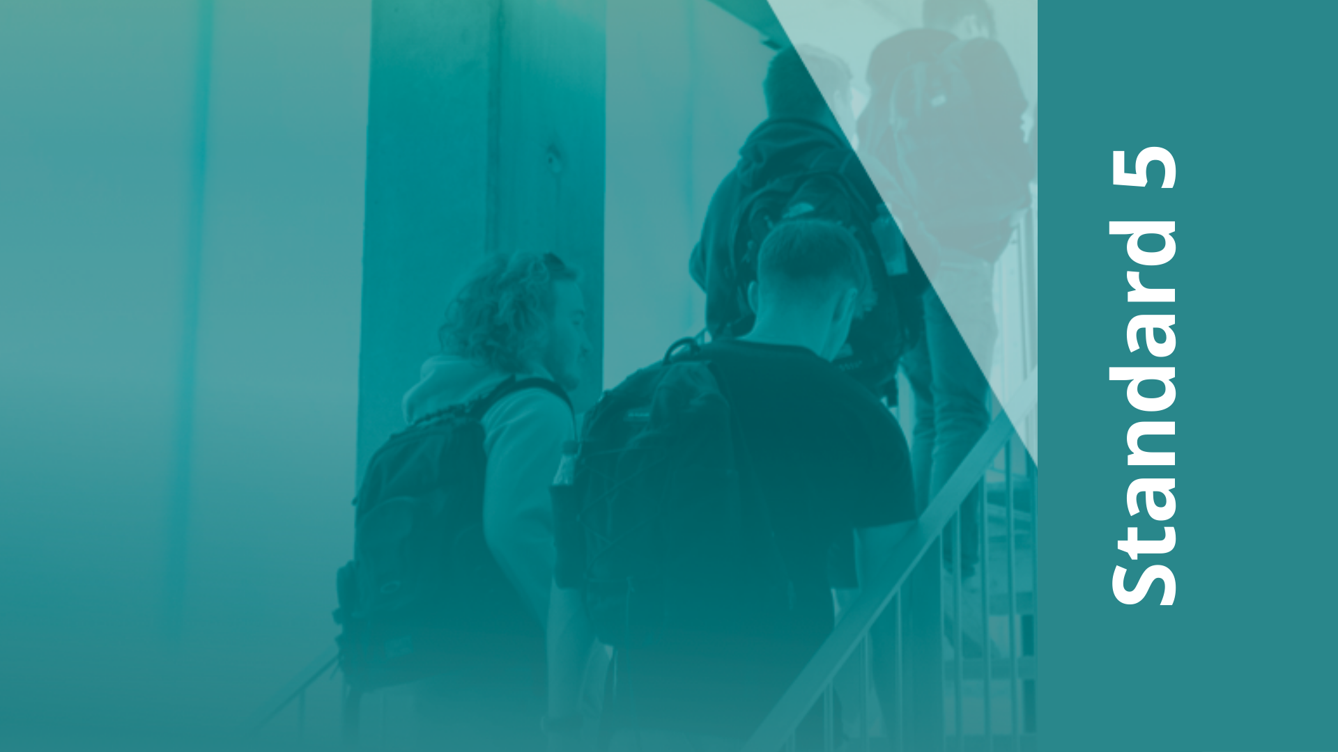 CIR - Standard 5 | Lola